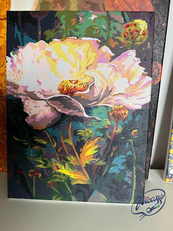 Malen nach Zahlen - iPicasso ️